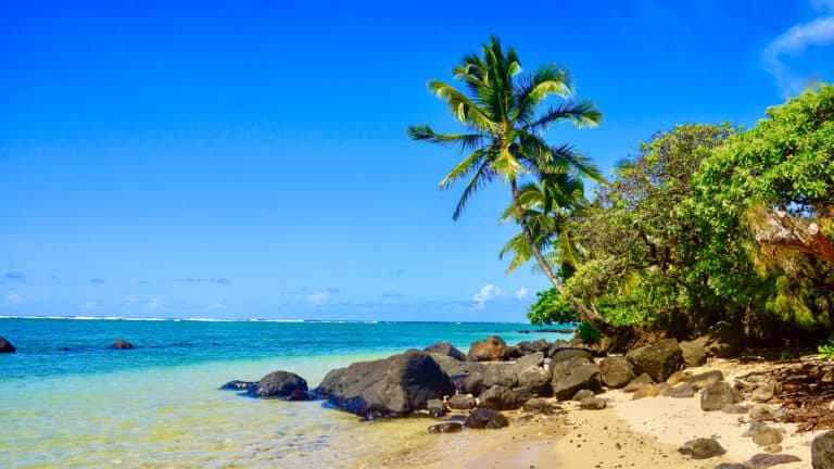 The Best Activities in Kauai - Compass Roam