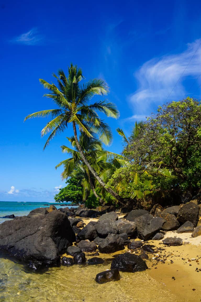 An Epic Kauai Travel Guide - Compass Roam