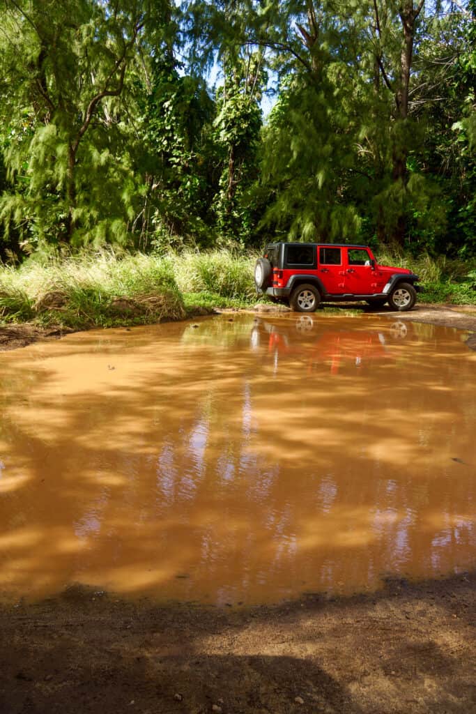 An Epic Kauai Travel Guide - Compass Roam